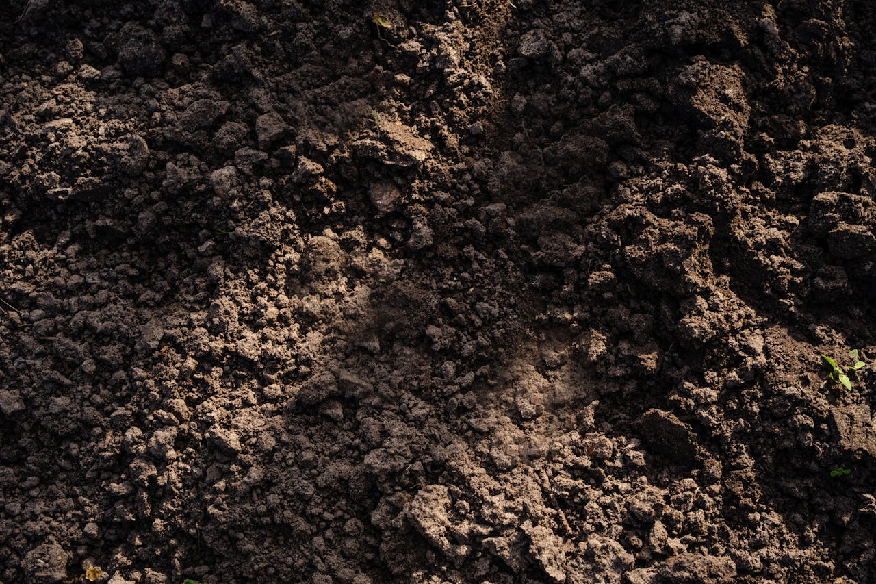 Why Soil Testing Is Critical to Successful Earthworks - My Scoop